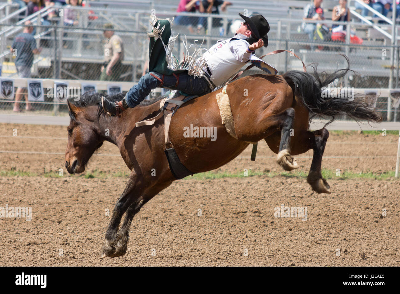 Red Bluff rodeo Roundup 2017 Stock Photo - Alamy