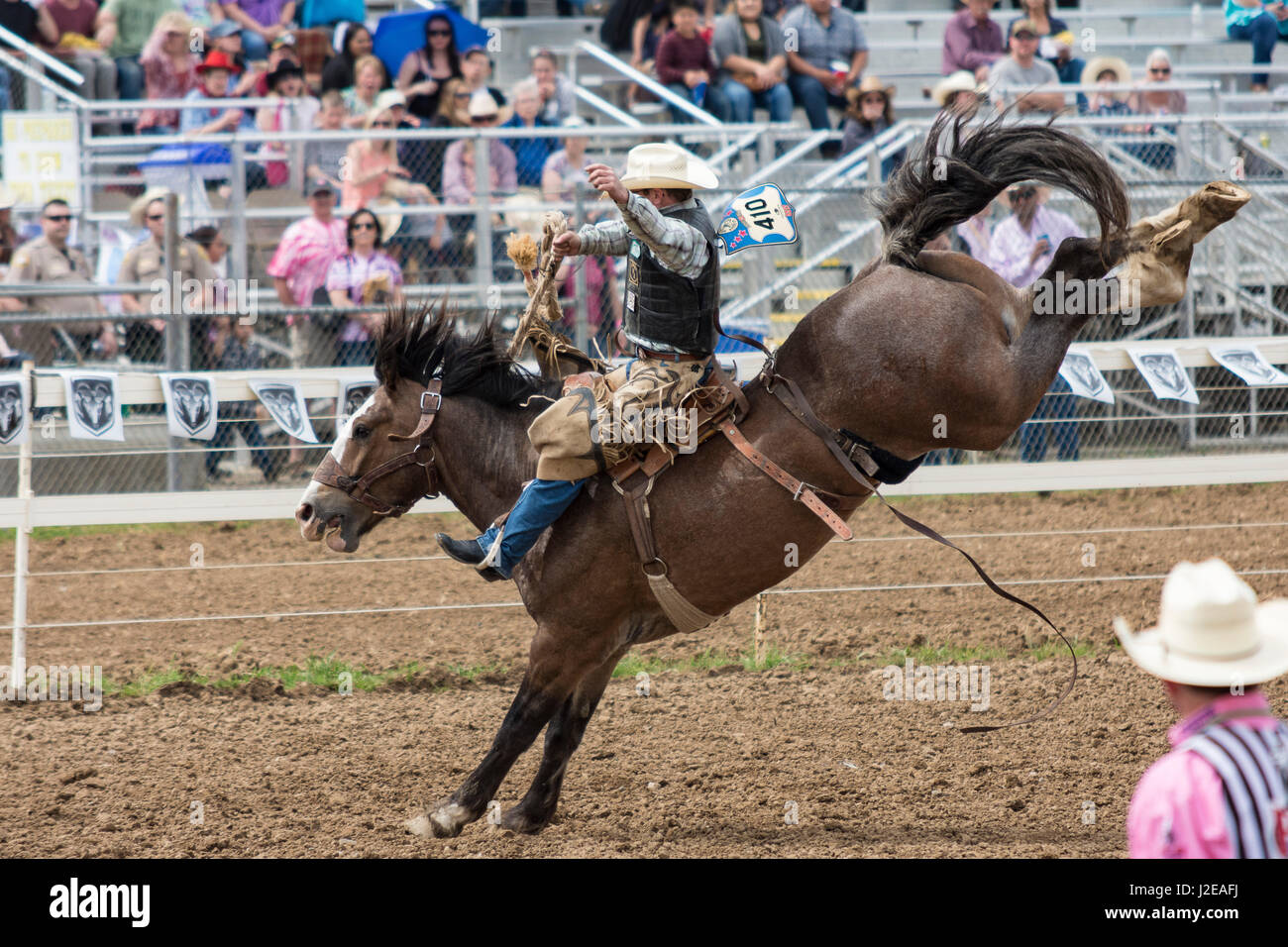 Red Bluff rodeo Roundup 2017 Stock Photo - Alamy