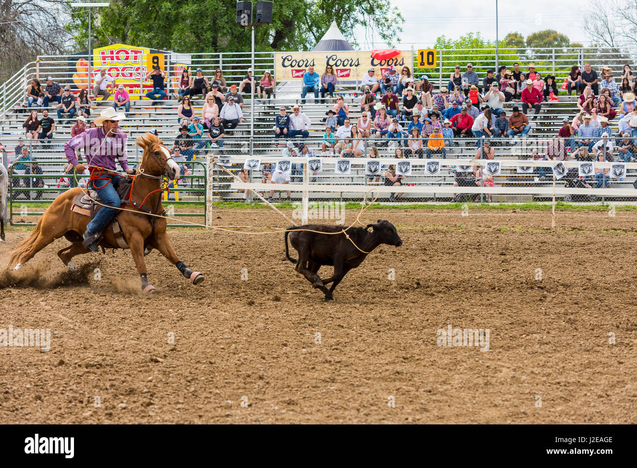 Redbluff rodeo hi-res stock photography and images - Alamy