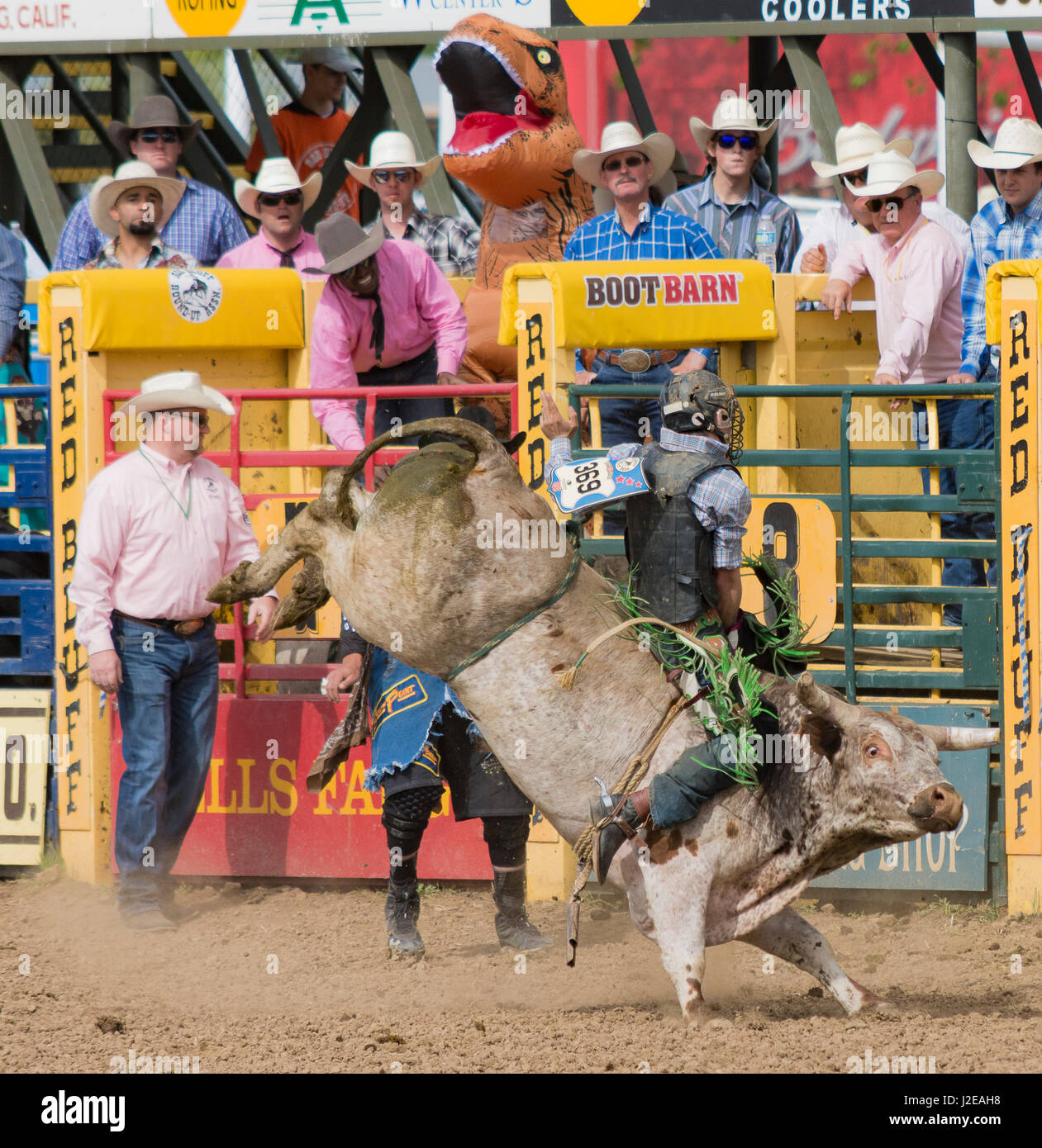 Redbluff rodeo hi-res stock photography and images - Alamy