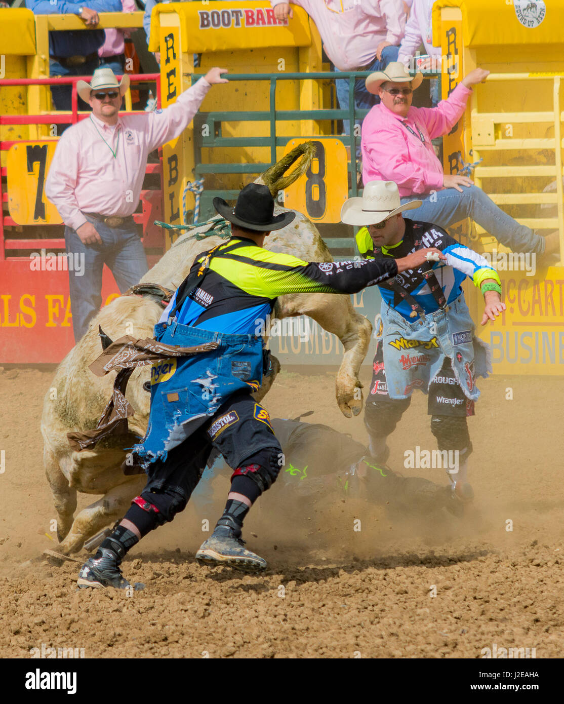 Redbluff hi-res stock photography and images - Alamy