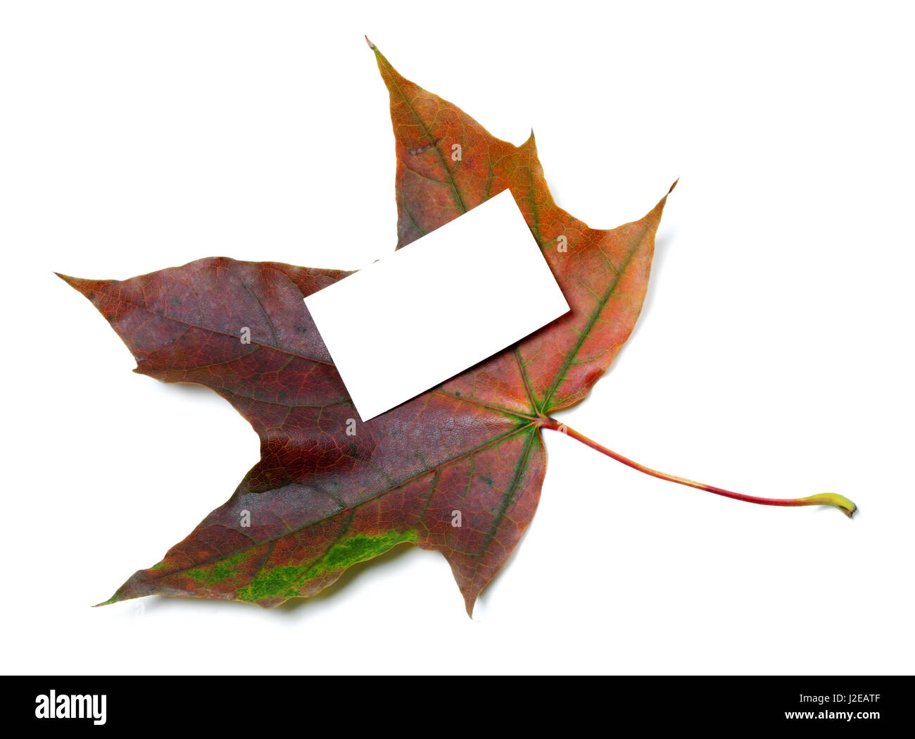 Label maple hi-res stock photography and images - Alamy