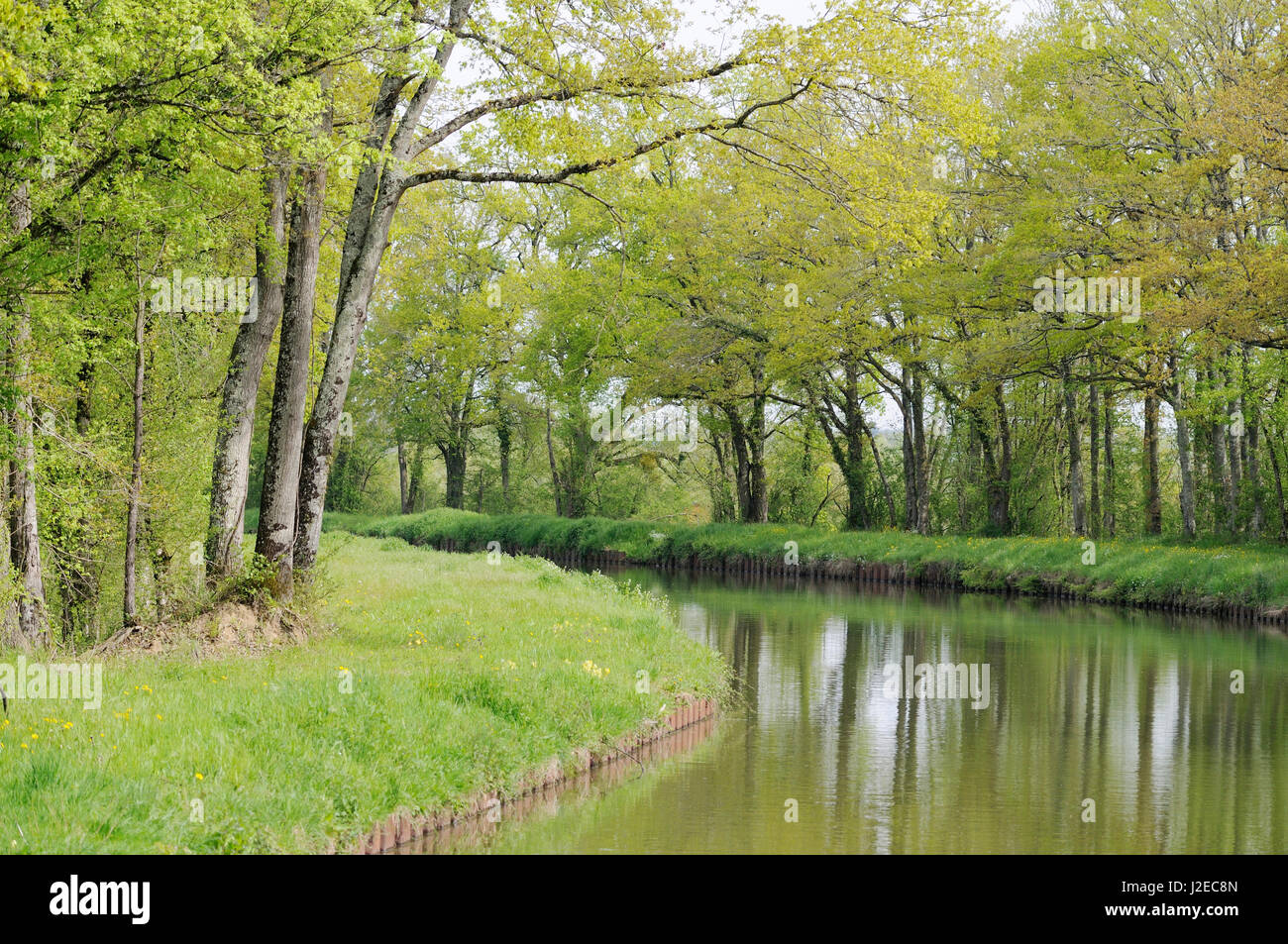 France, Loire. Spring trees and grasses, Canal lateral a la Loire Stock ...