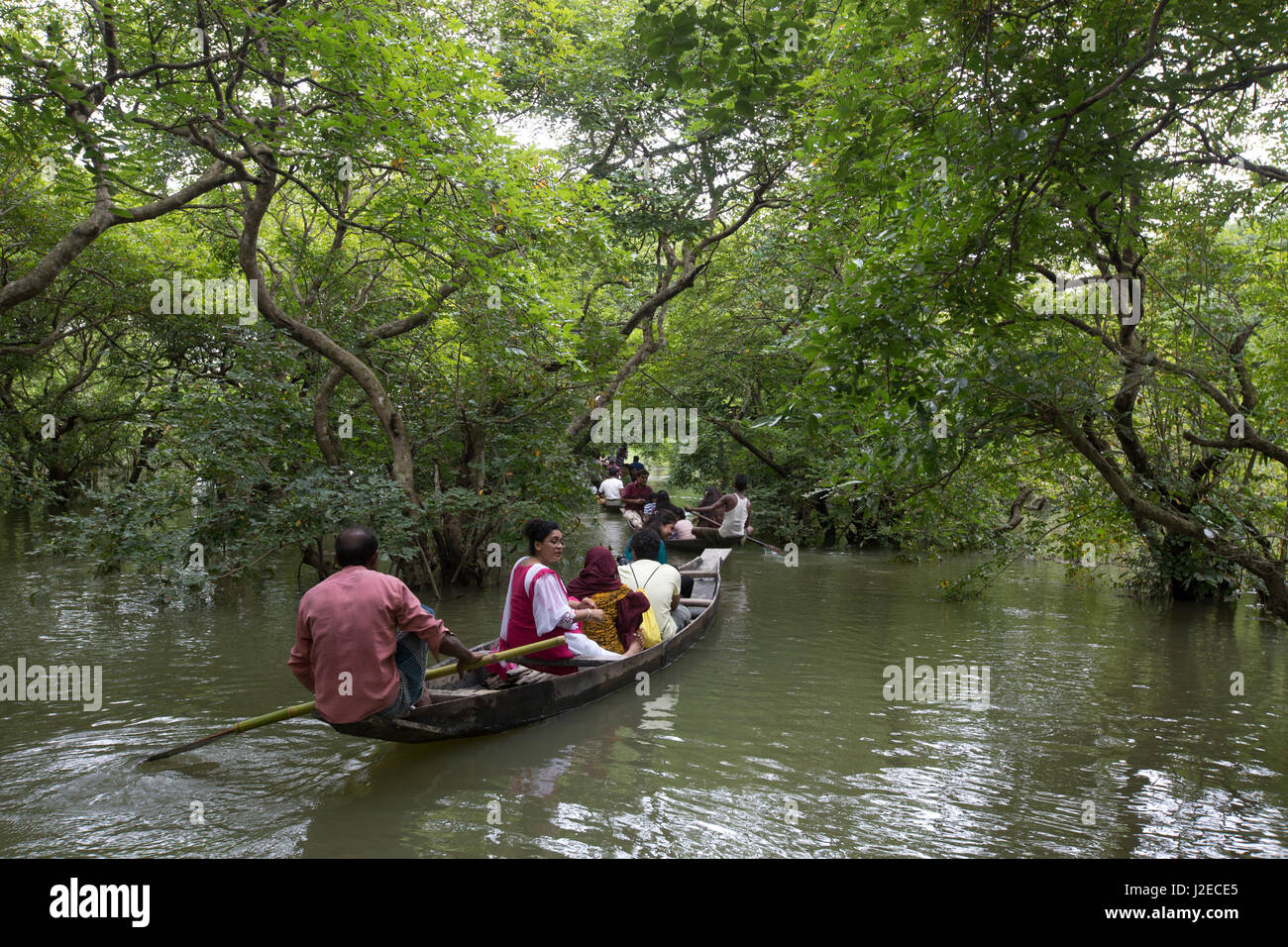 Ratargul fresh water swamp forest. It is a very interesting and ...