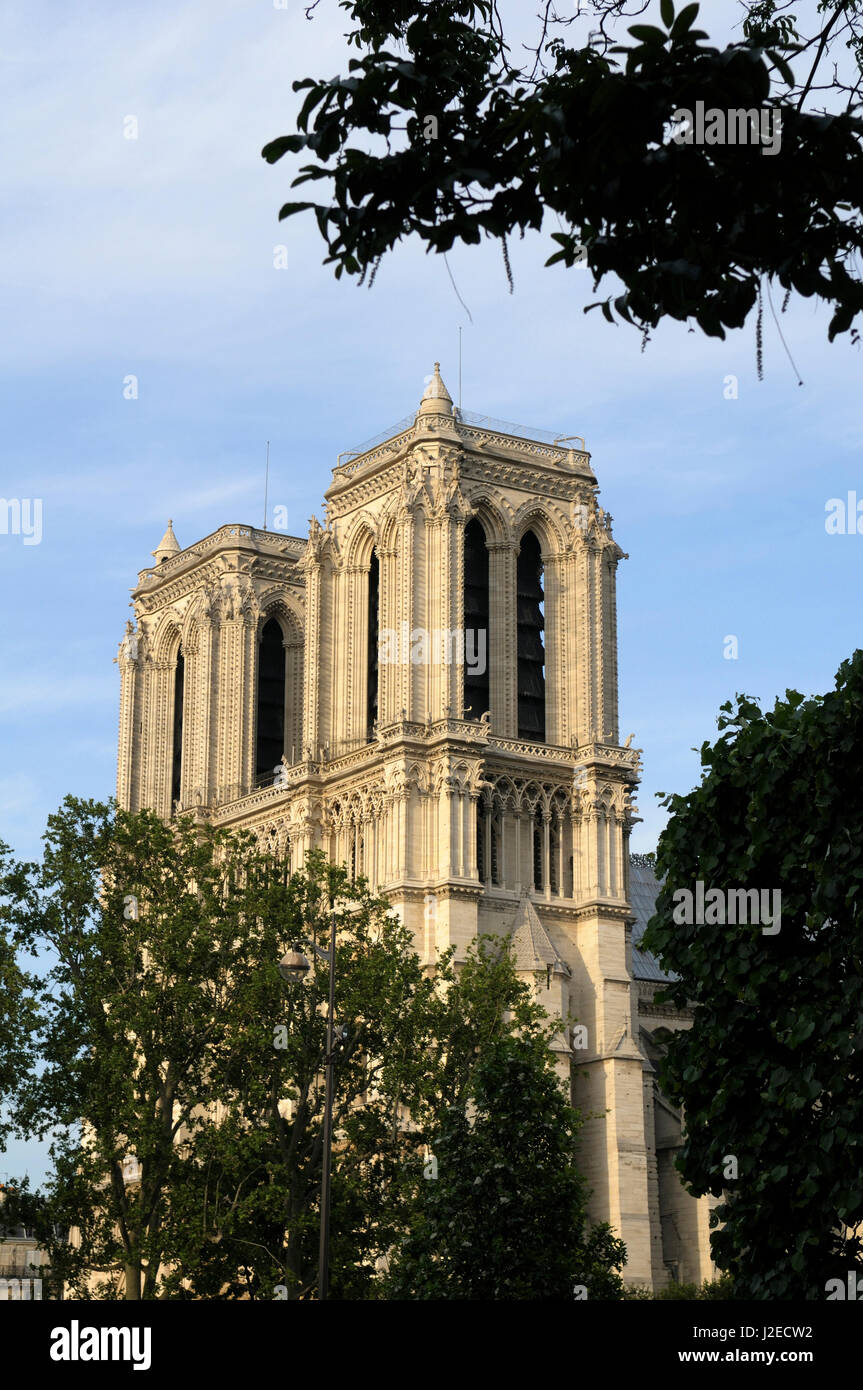 France, Paris. Notre Dame Cathedral bell tower Stock Photo - Alamy