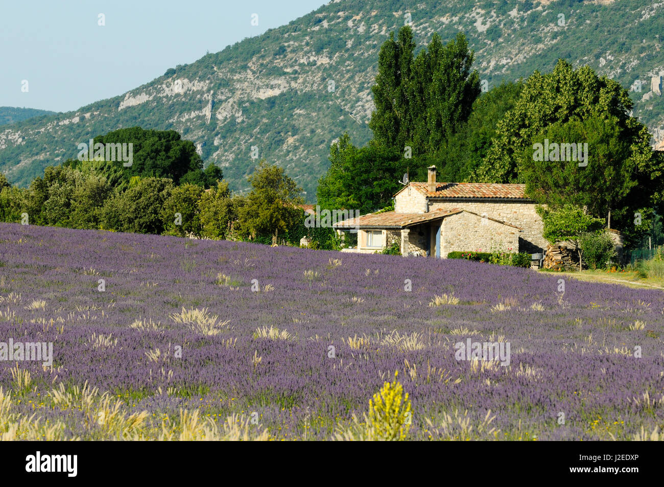 Sault, Provence, France Stock Photo - Alamy