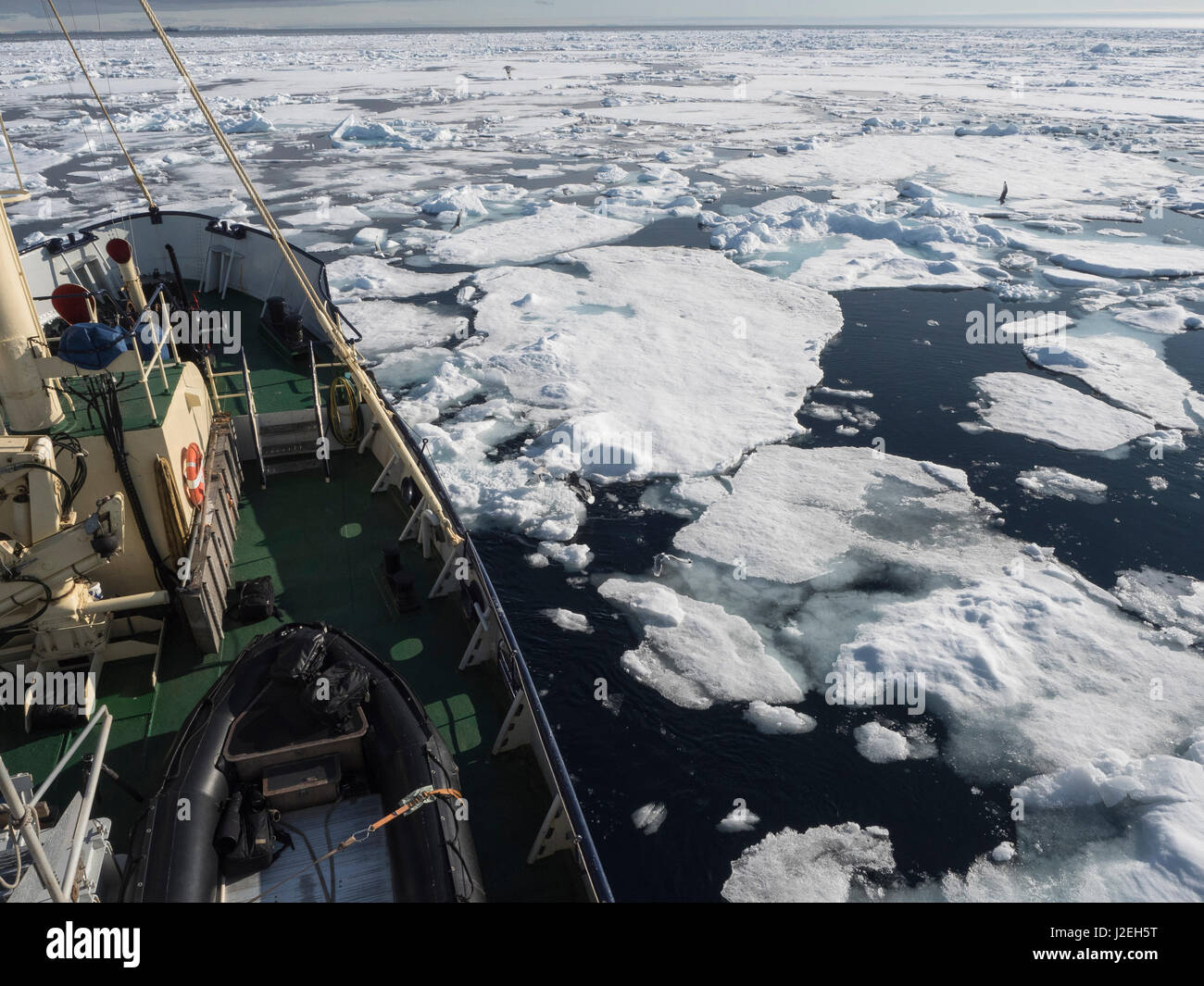 Svalbard ship plows hi-res stock photography and images - Alamy