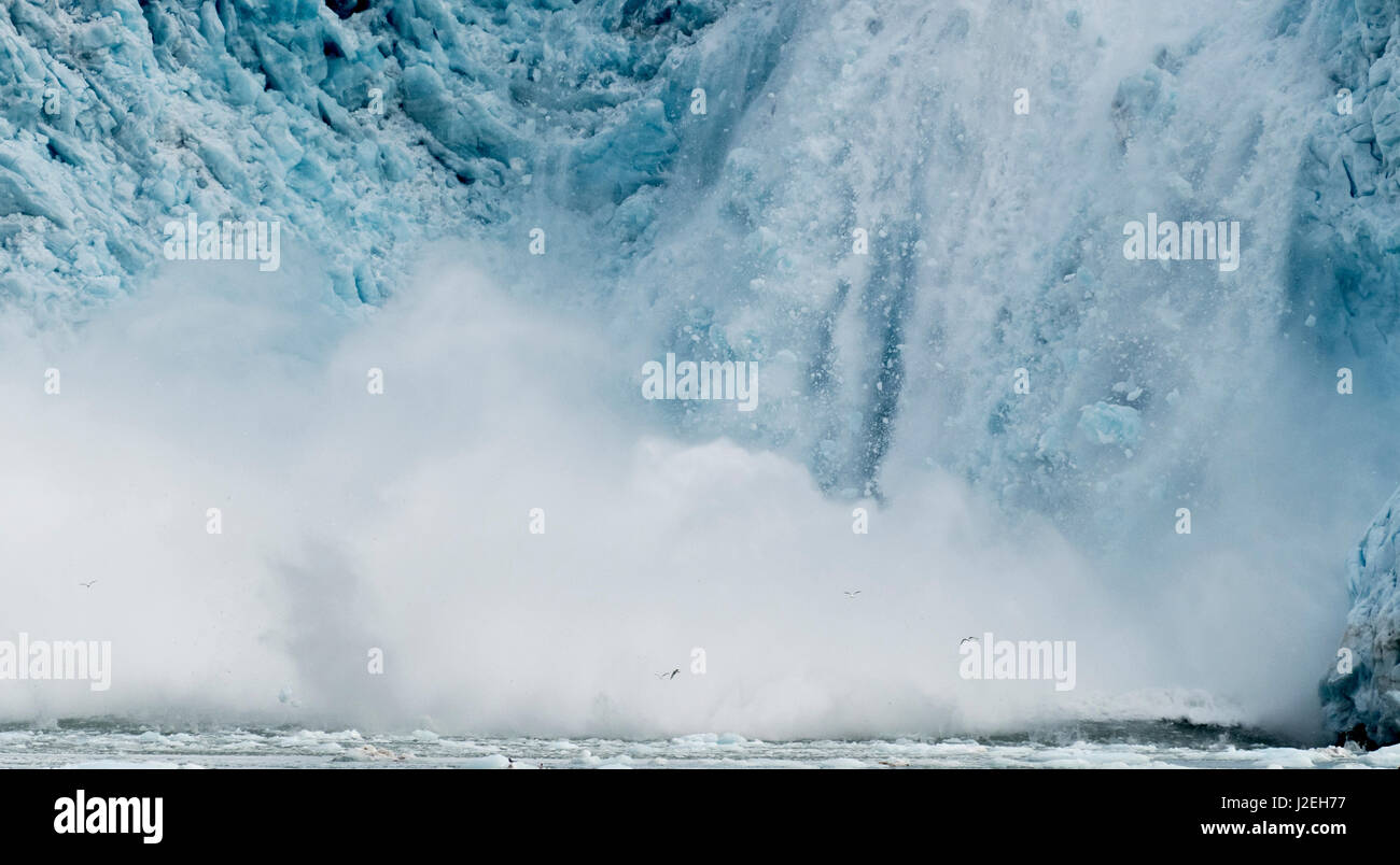 Arctic Ocean, Norway, Svalbard. Calving glacier. Credit as: Bill Young ...