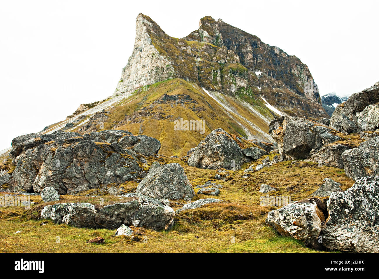 Nordre Isfjorden National Park, Svalbard, Norway. Alkehornet, a famous ...
