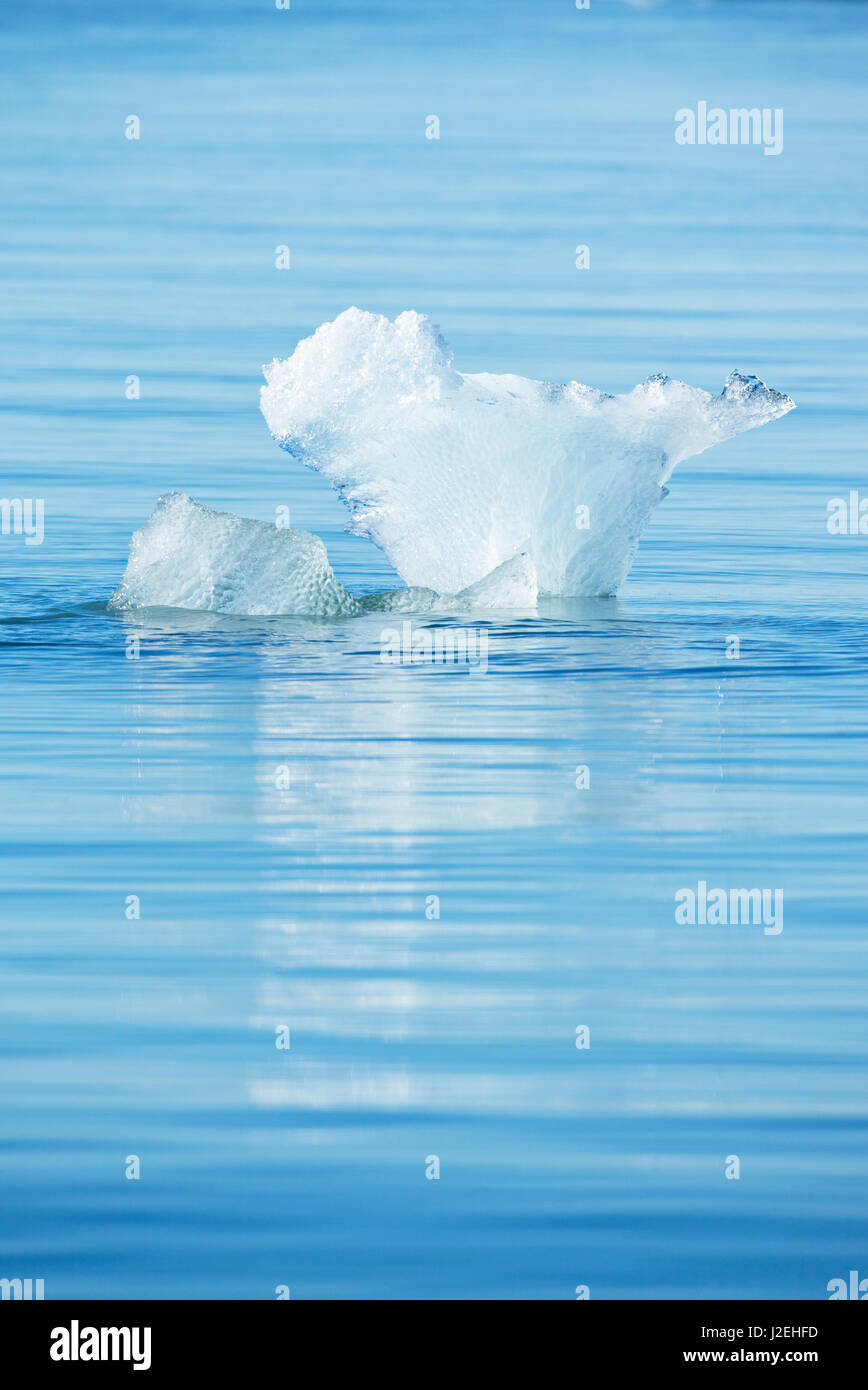 Arctic, Svalbard. Lone 2m high iceberg floating in blue sea Stock Photo ...