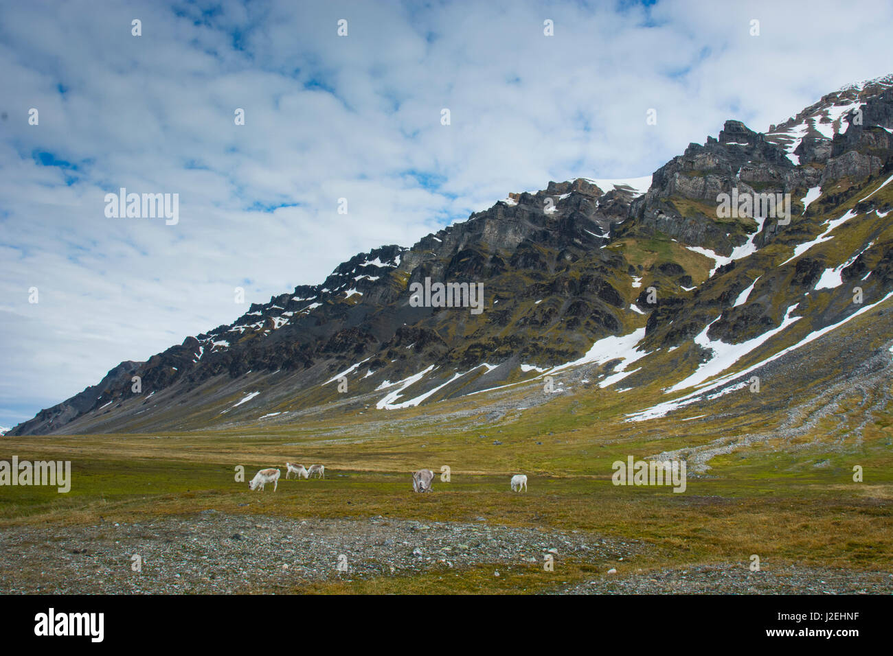 Norway. Svalbard. Bellsund. Camp Millar. Deeply eroded mountain Stock ...