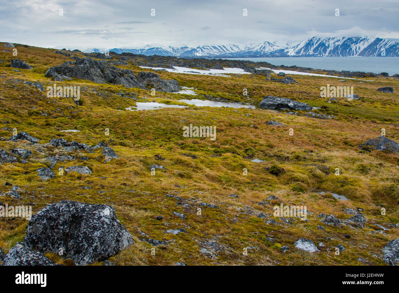 Norway. Svalbard. Bellsund. Camp Millar. Rocky ground and the sound ...