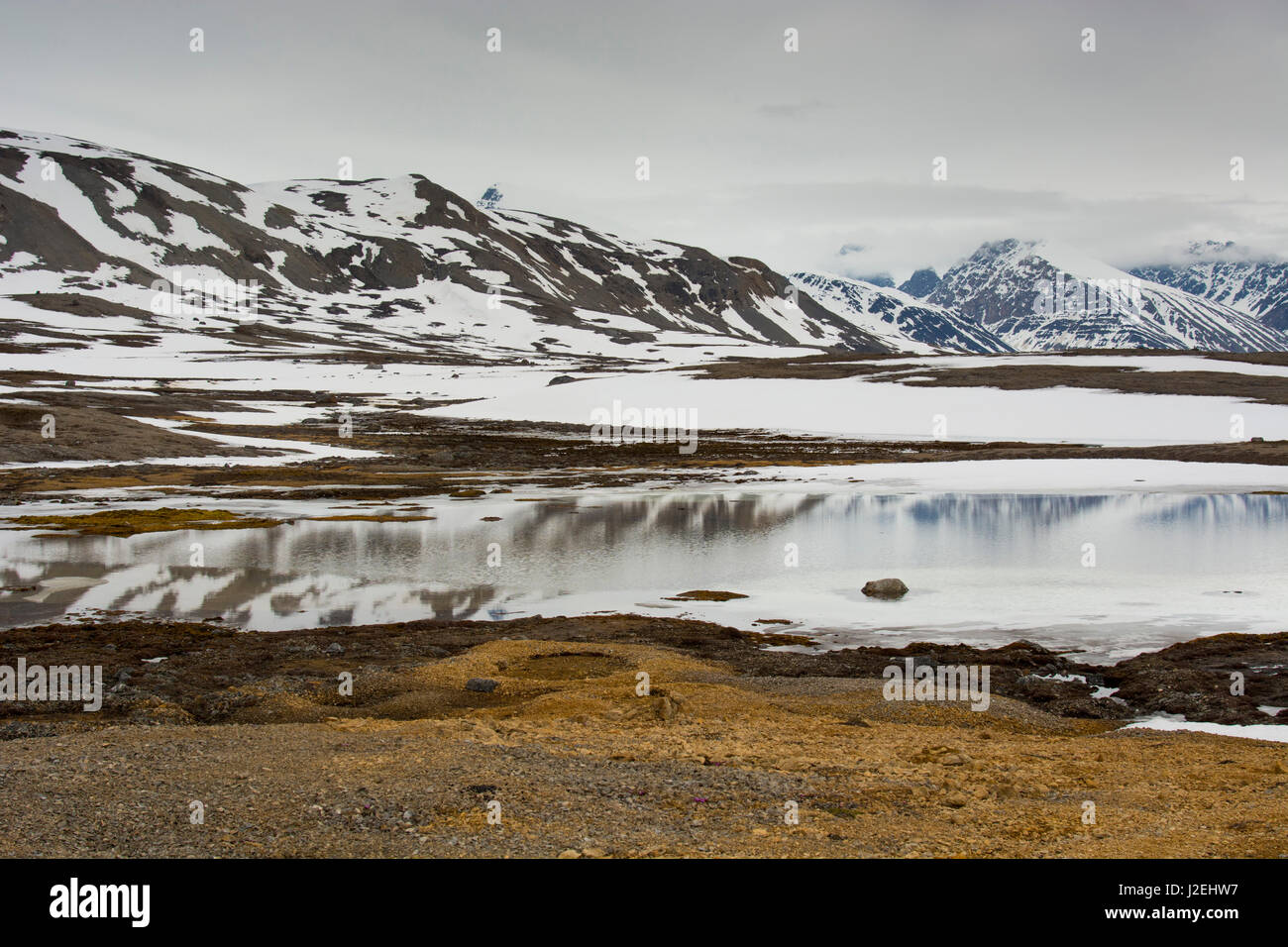 Norway. Svalbard. Kongsfjorden. Blomstrandhalvoya. London. Arctic ...
