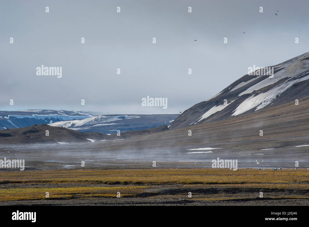 Norway. Svalbard. Barentsoya. Freemansundet. Steam rising from the ...