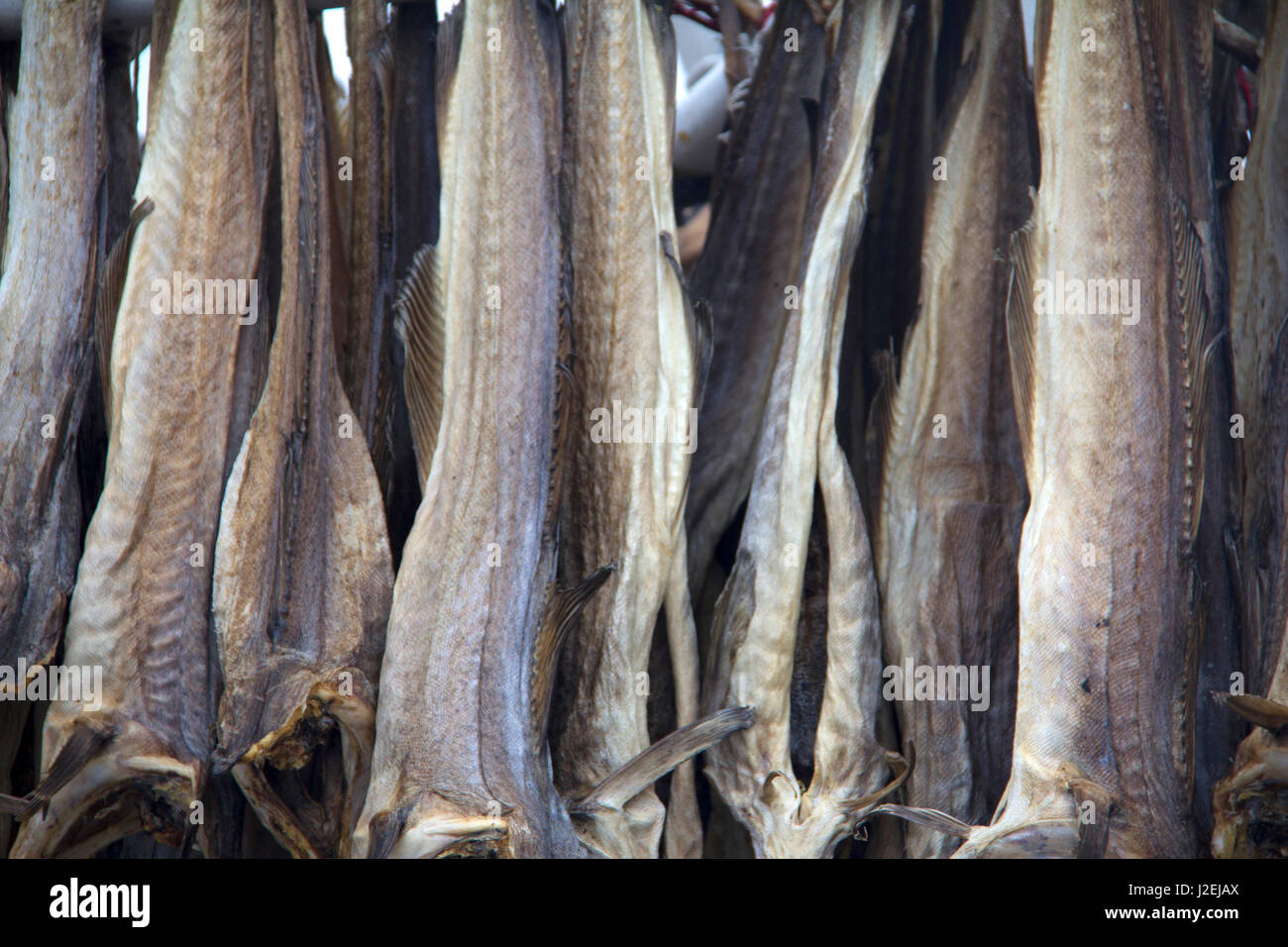 Lutefisk hi-res stock photography and images - Alamy