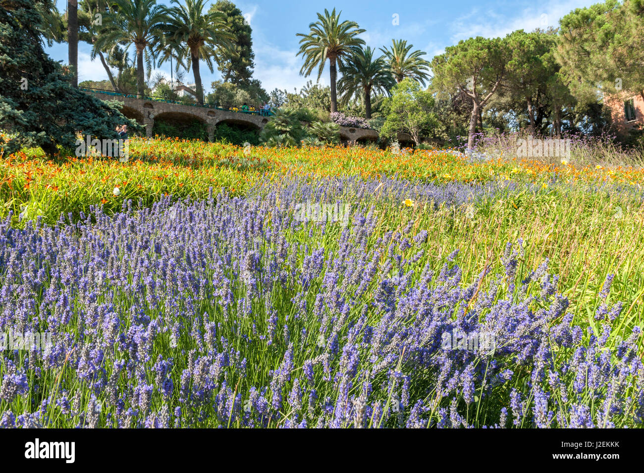 Europe, Spain, Barcelona, Park Guell garden Stock Photo - Alamy