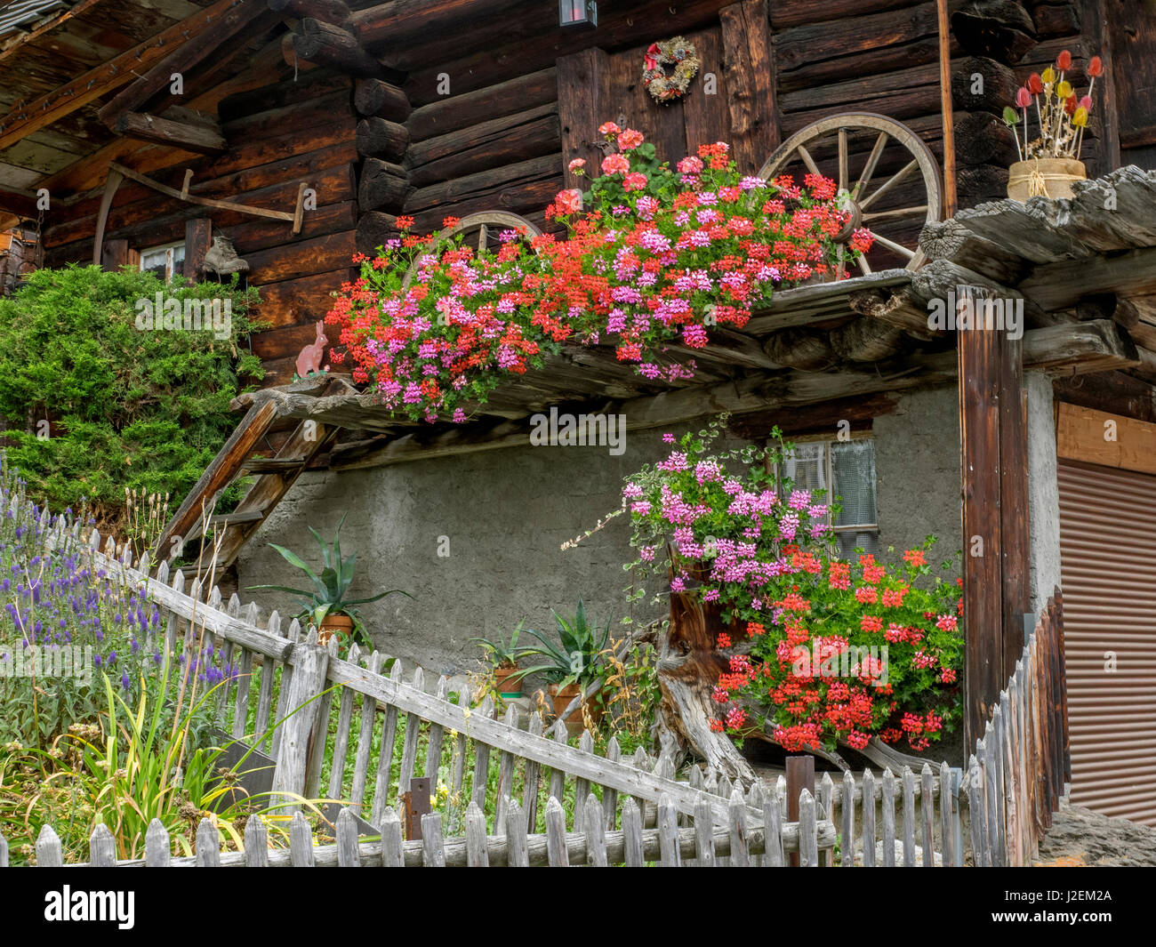 Switzerland, Bern Canton, Murren, Flower display Stock Photo - Alamy