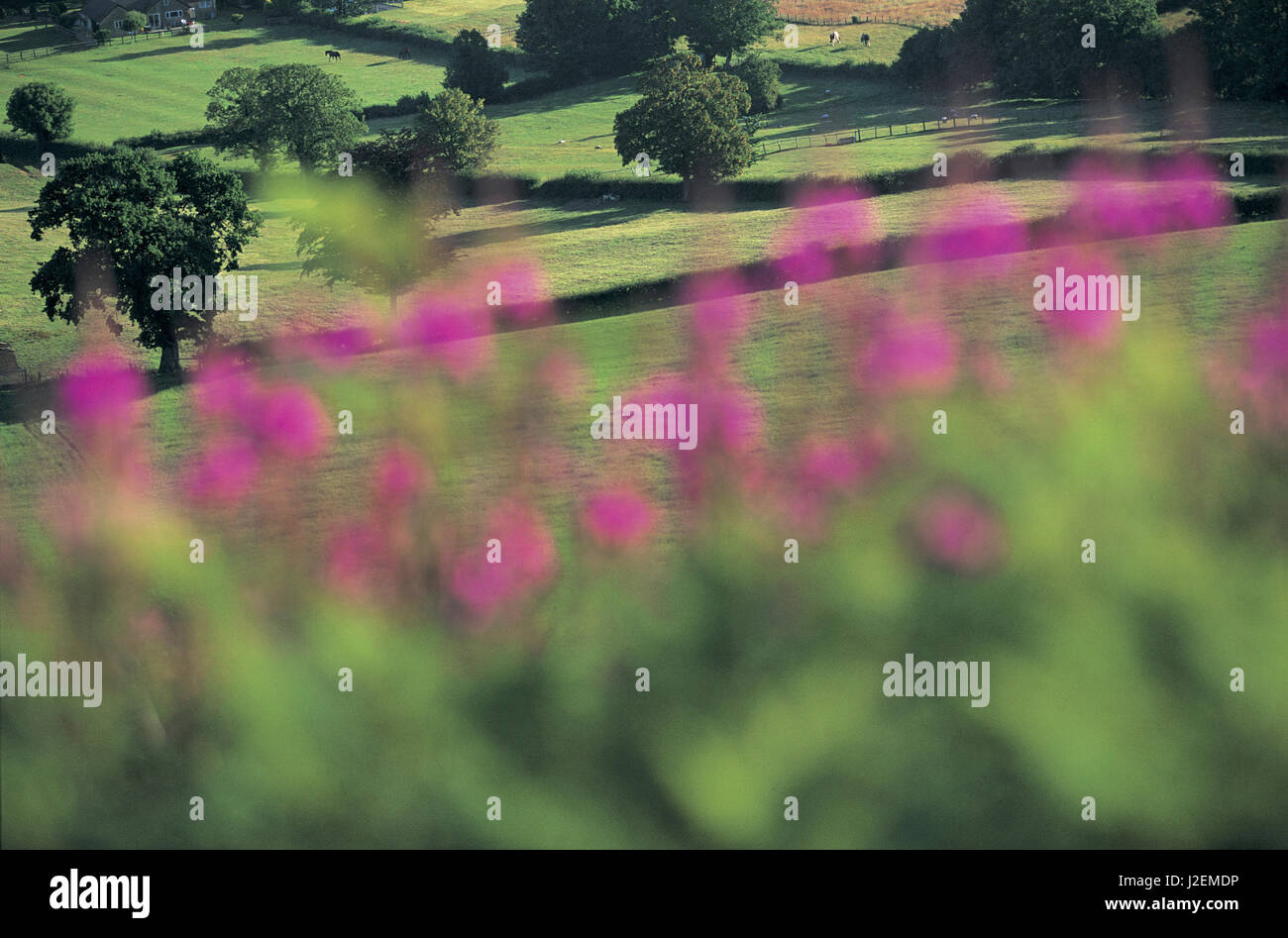 Cam gloucestershire hi-res stock photography and images - Alamy