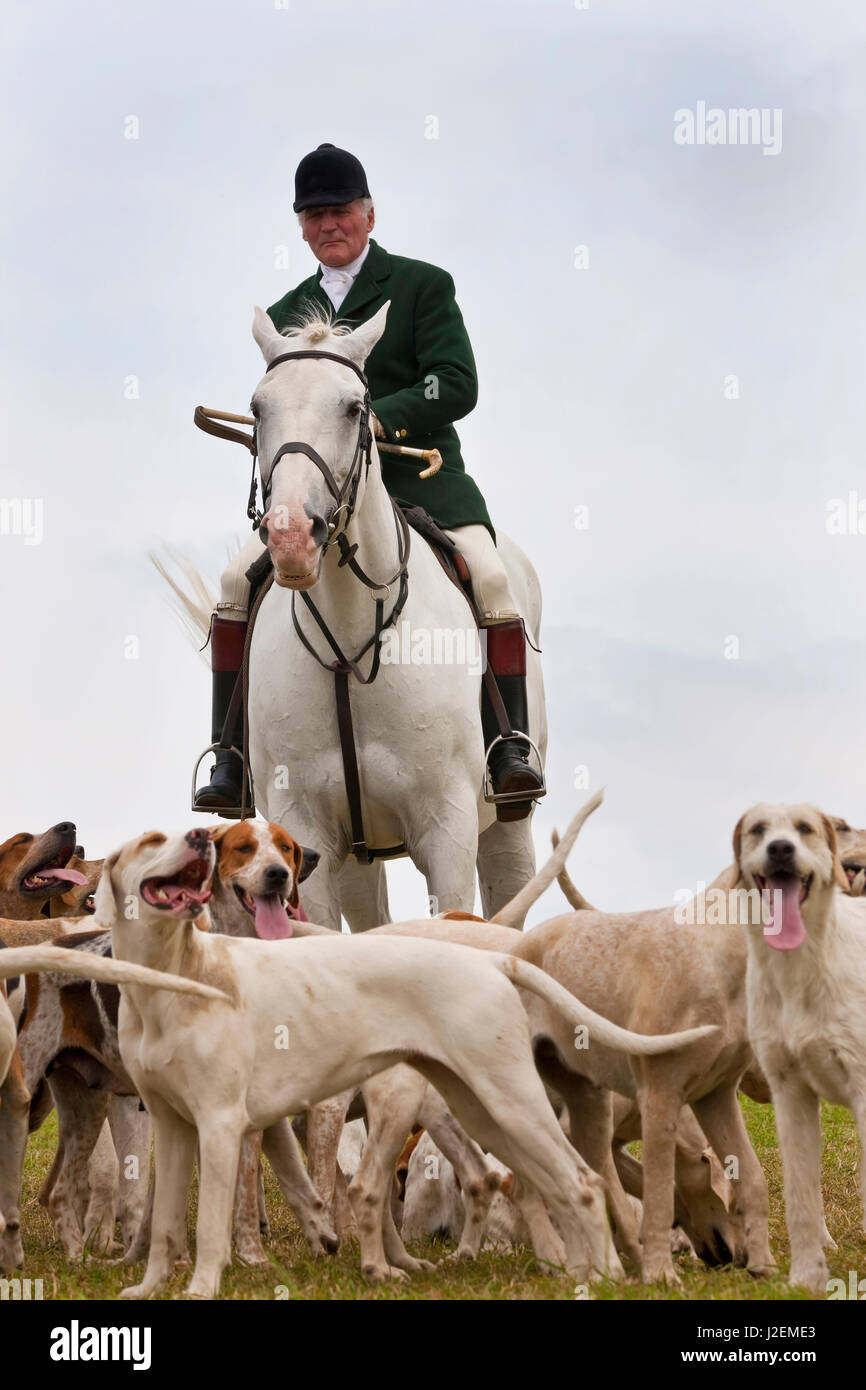 Hunting With Hounds Stock Photos & Hunting With Hounds Stock Images - Alamy