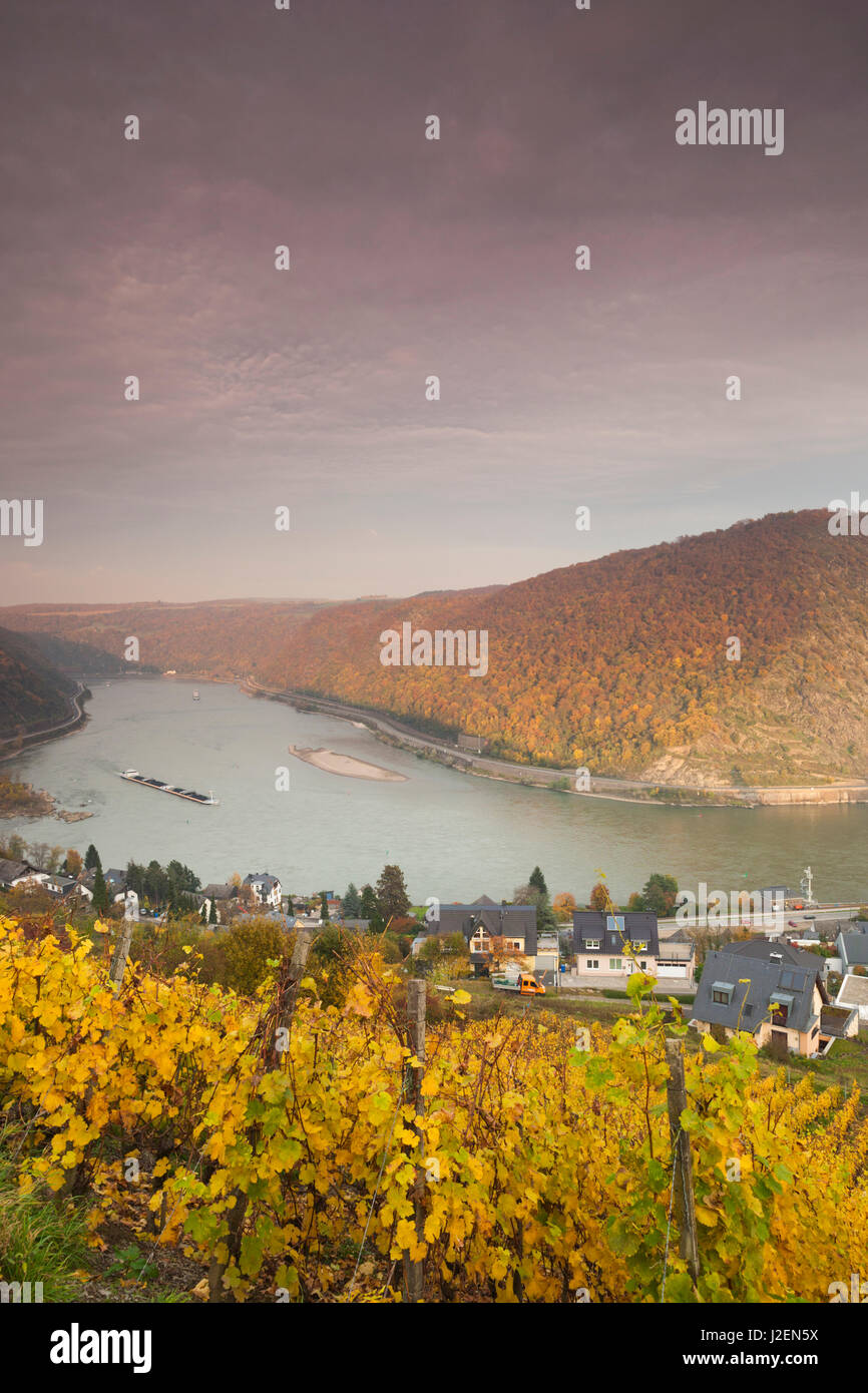 Germany, Rheinland-Pfalz, Oberwesel, elevated view of the Rhein River ...