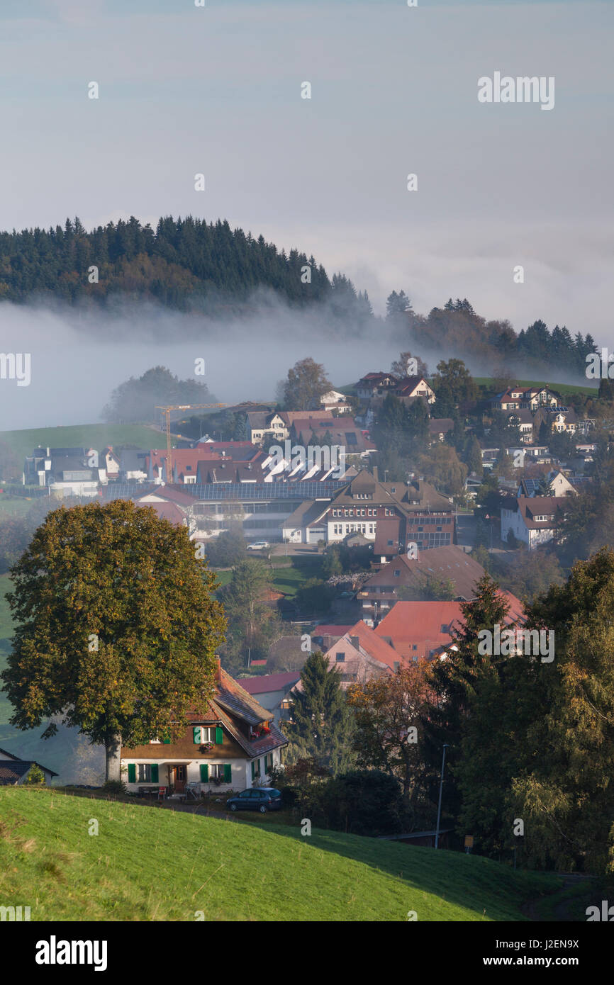 Germany, Baden-Wurttemburg, Black Forest, Horben, town view in morning ...