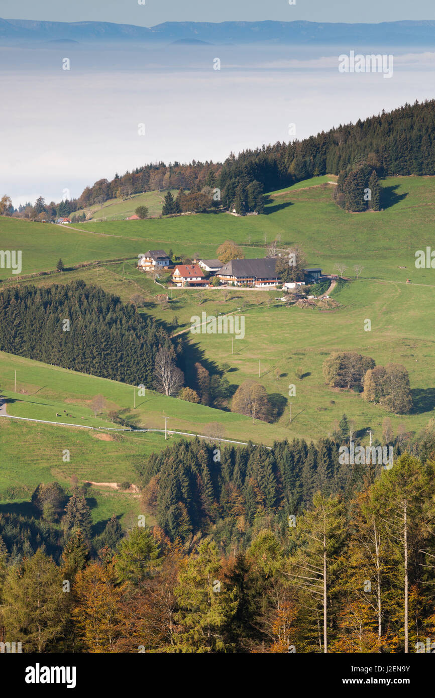 Germany, Baden-Wurttemburg, Black Forest, Horben, town view in morning ...