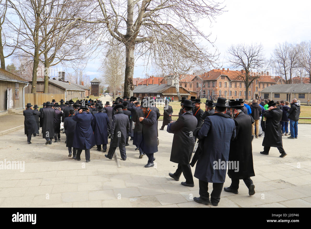 A group of orthodox jews visiting concentration camp Auschwitz Stock ...