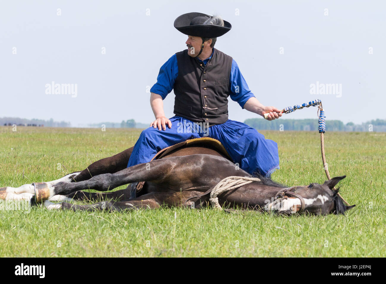 Traditional Hungarian cowboy show in the Hortobagy. Local cowboy ...