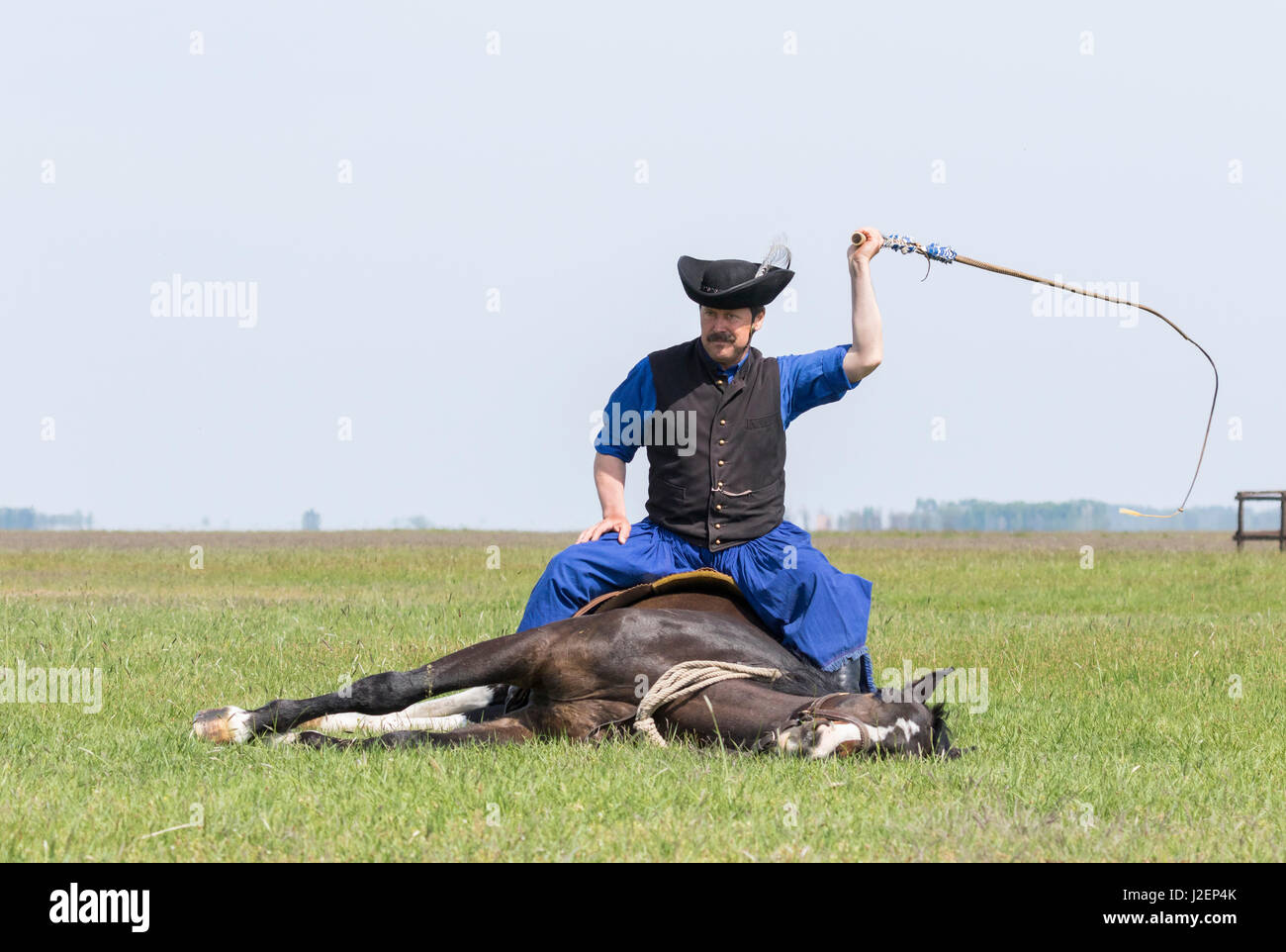 Traditional Hungarian cowboy show in the Hortobagy. Local cowboy ...