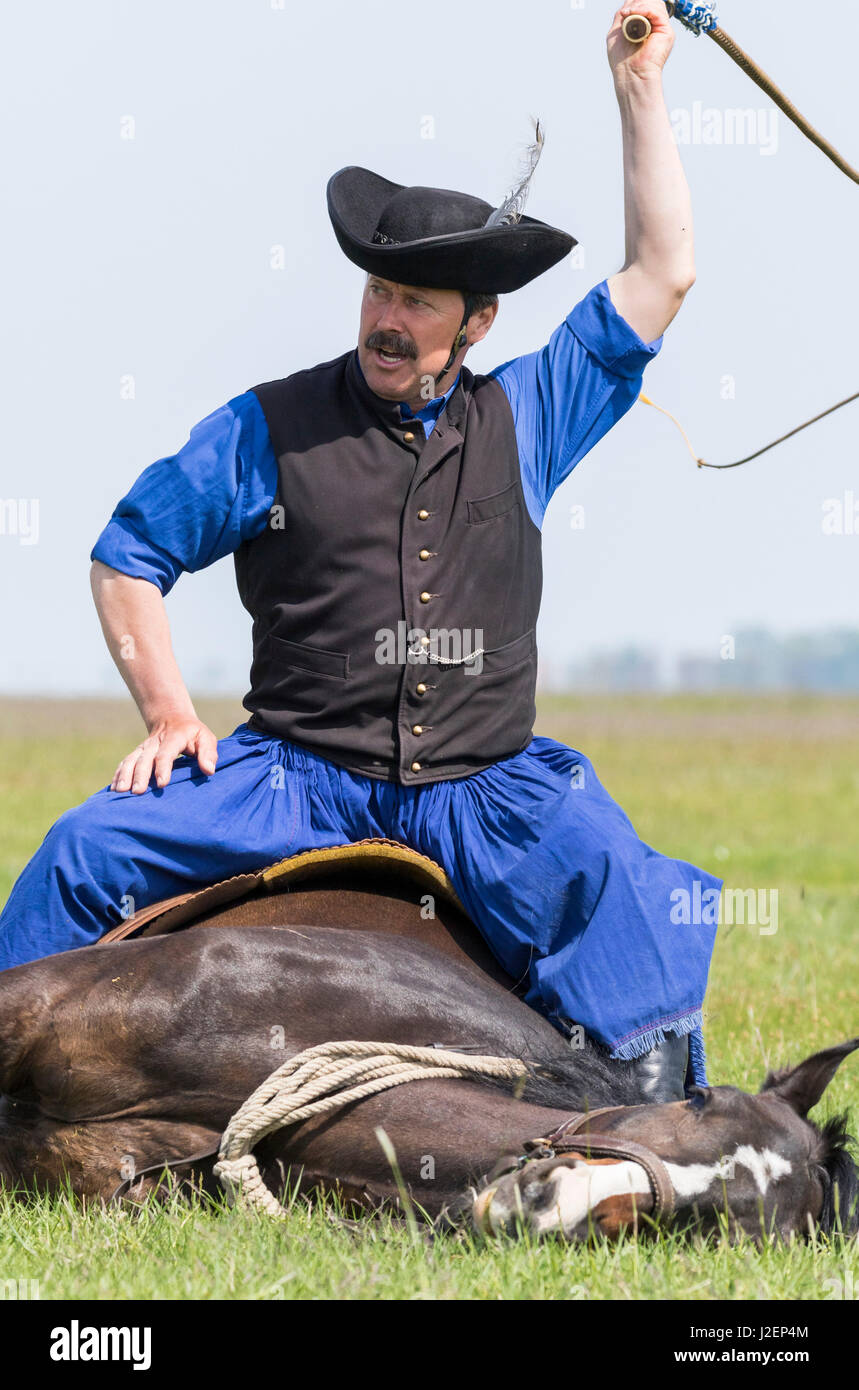 Traditional Hungarian cowboy show in the Hortobagy. Local cowboy ...