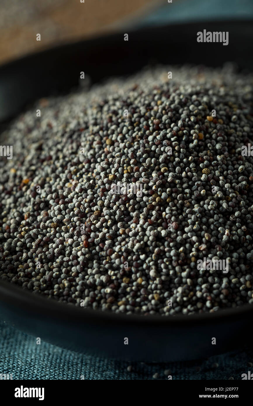 Raw Organic Black Poppy Seeds in a Bowl Stock Photo - Alamy