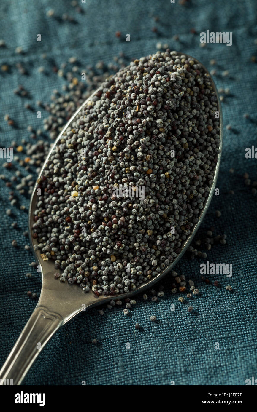 Black poppy seeds hi-res stock photography and images - Alamy
