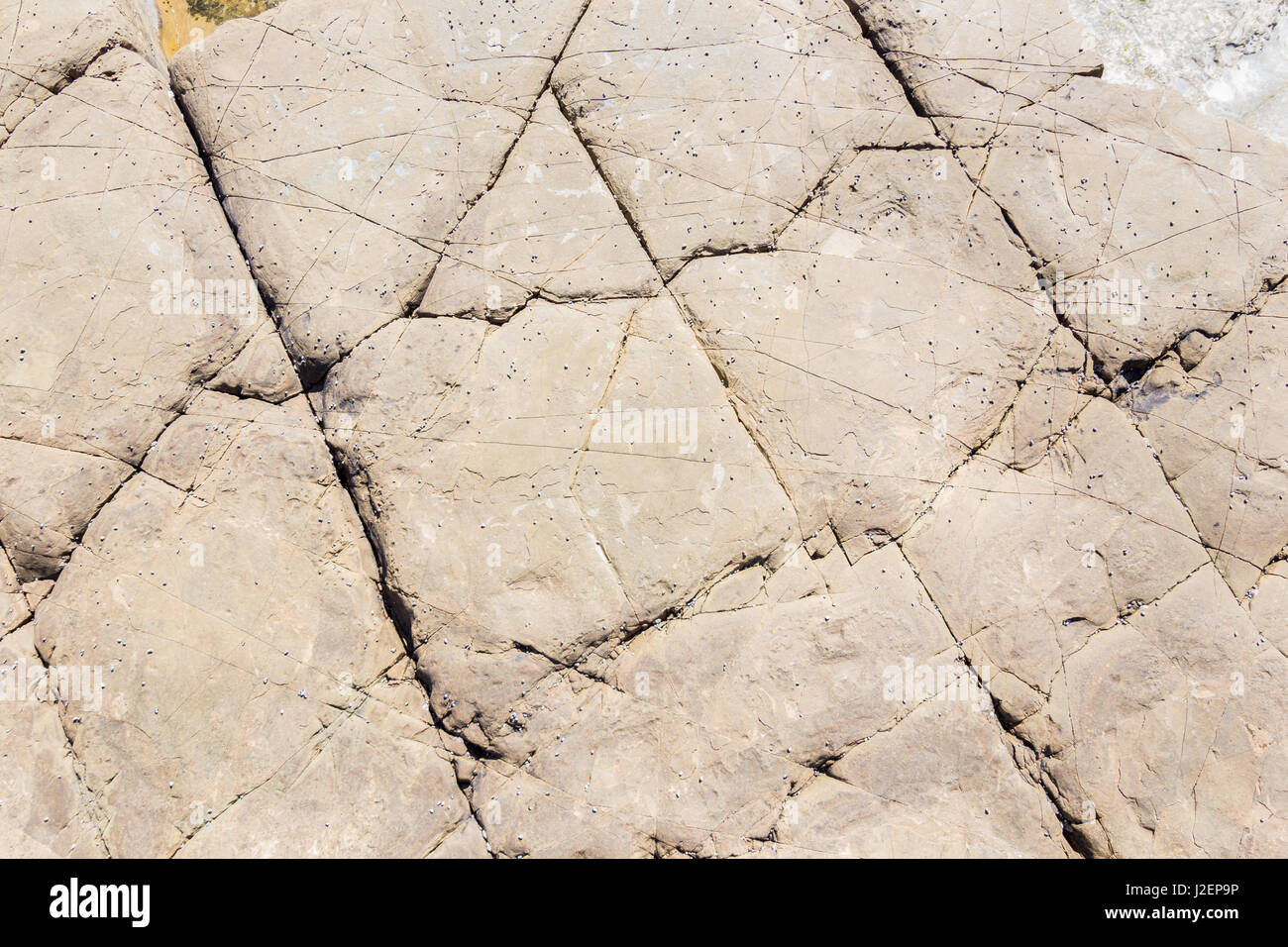 Flysch texture detail in Strait gibraltar Stock Photo - Alamy