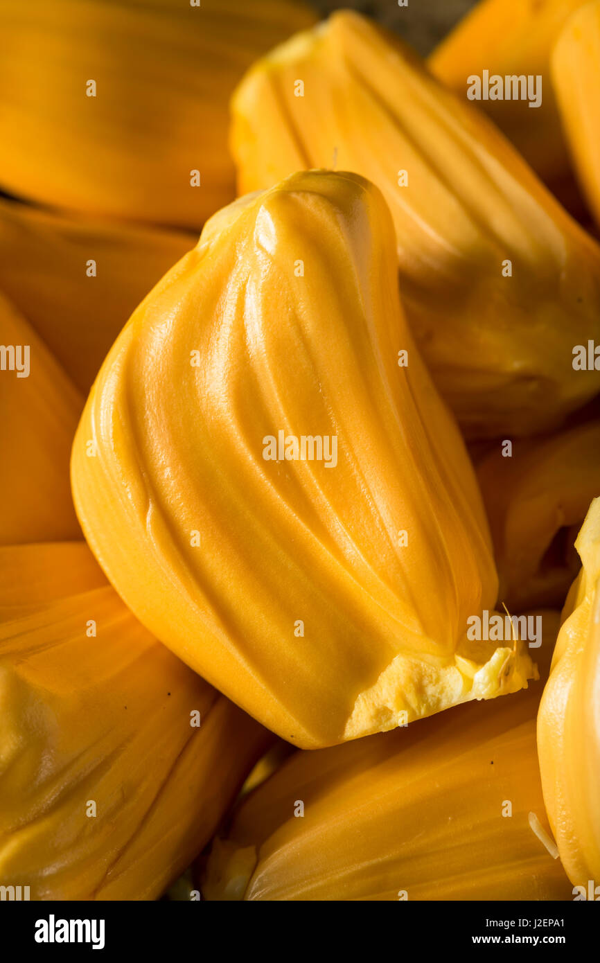 Homemade Organic Fresh Jackfruit Ready to Eat Stock Photo - Alamy