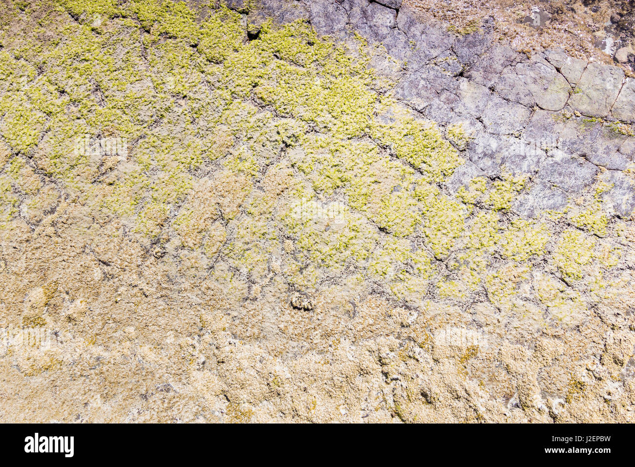 Natural stone texture, moss covered Stock Photo - Alamy
