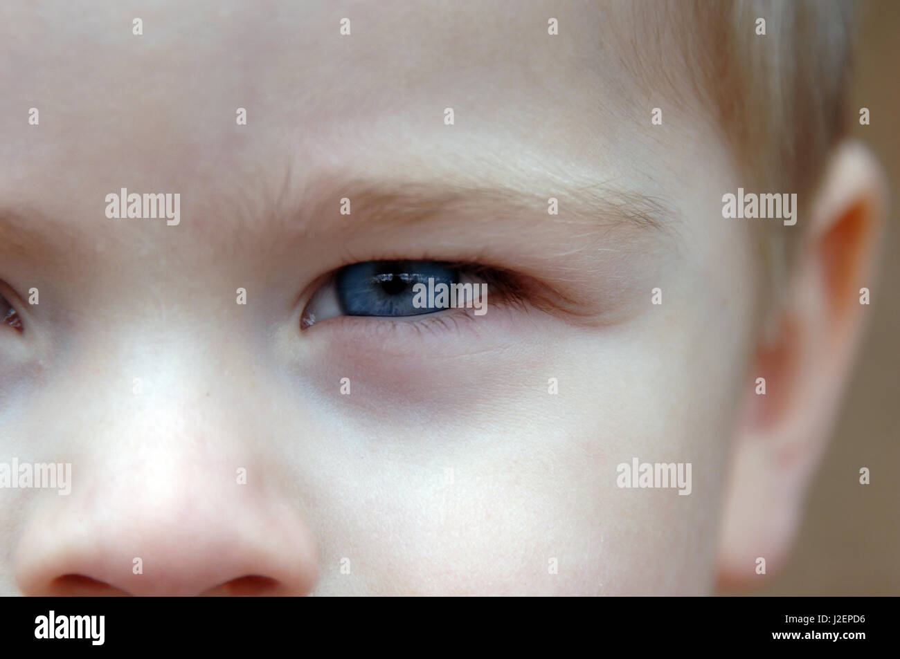 Looking out of the corner of eye hi-res stock photography and images ...