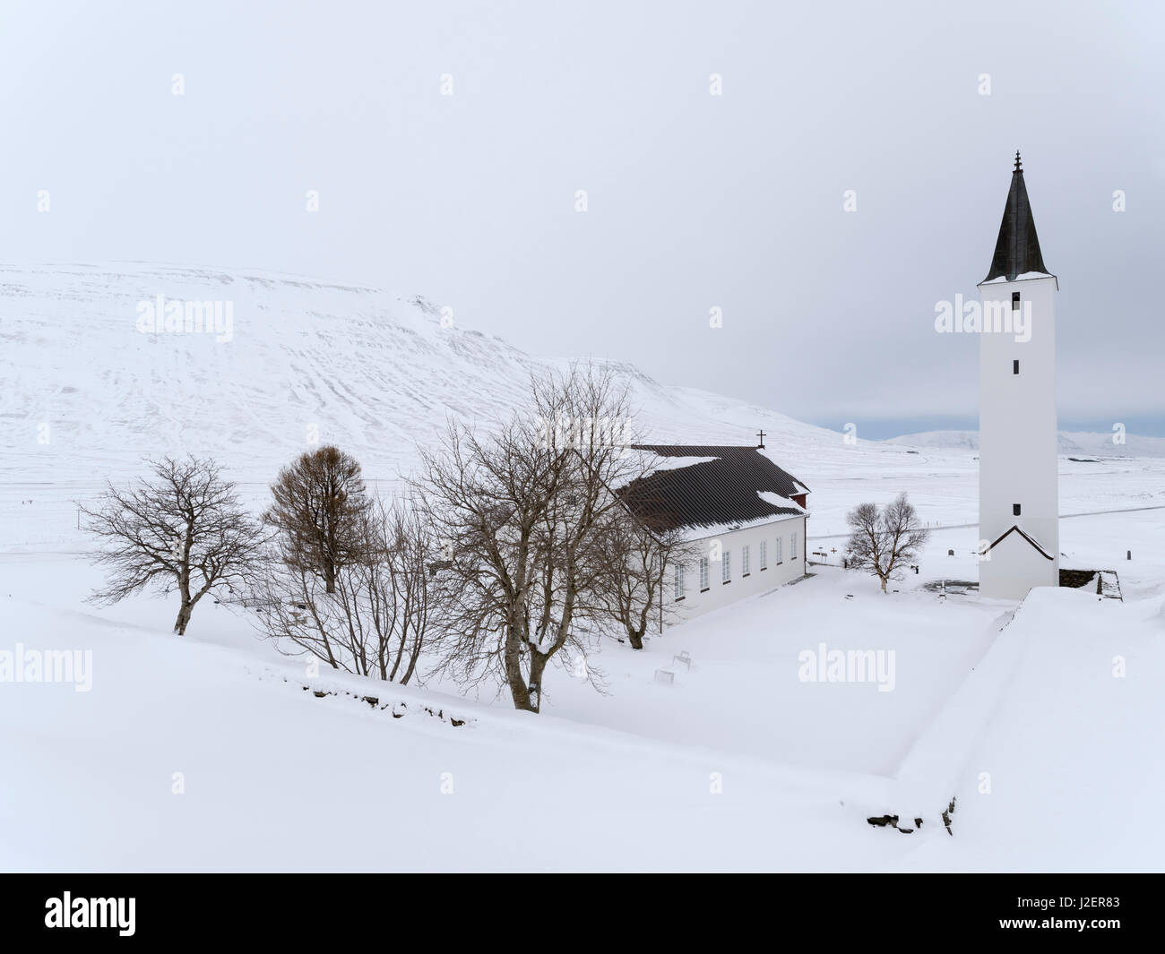 Horse breeding museum hi-res stock photography and images - Alamy