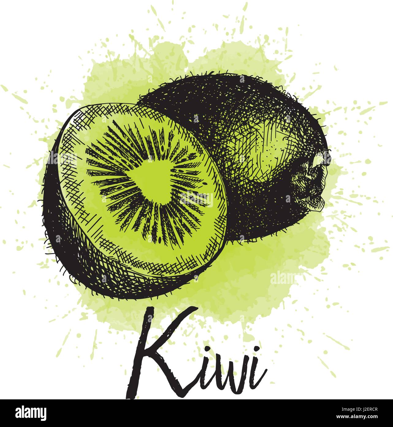 Kiwi graphics Stock Vector Images - Alamy