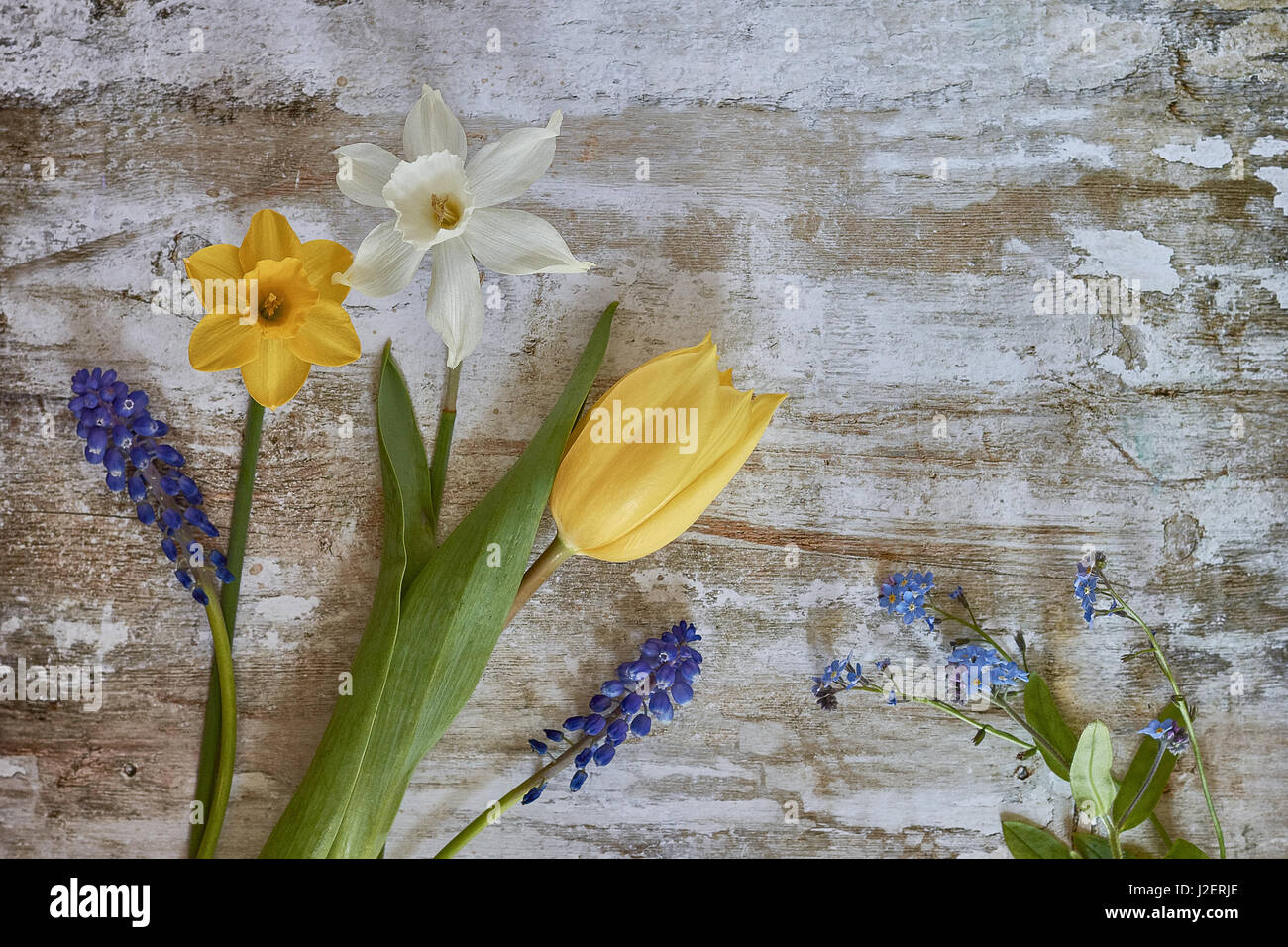 Mother's day flowers hi-res stock photography and images - Alamy