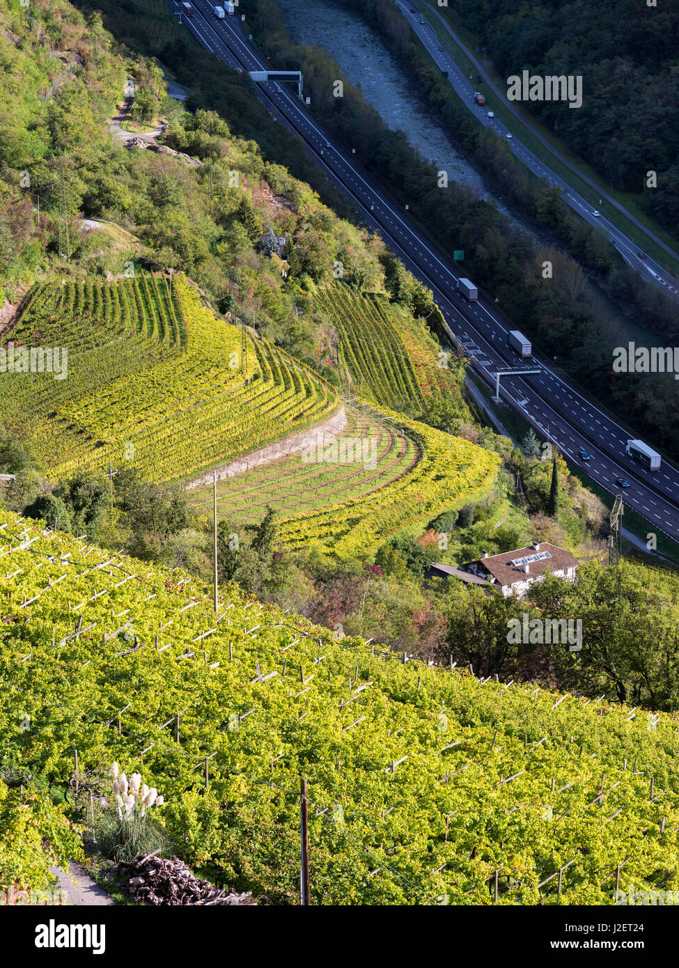 Viniculture and the Brenner Motorway in South Tyrol during autumn ...