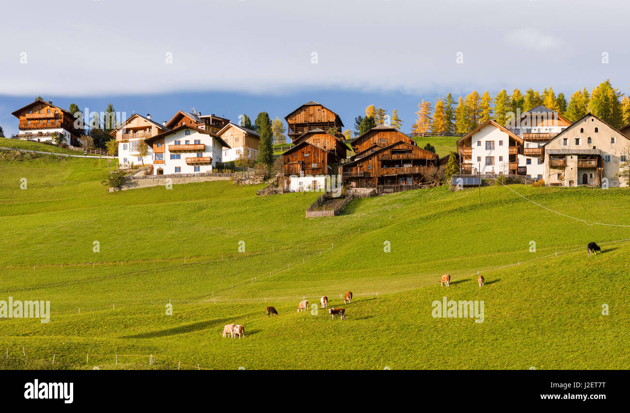 Traditional mountain farms clustered in hamlets called Viles in Gader ...