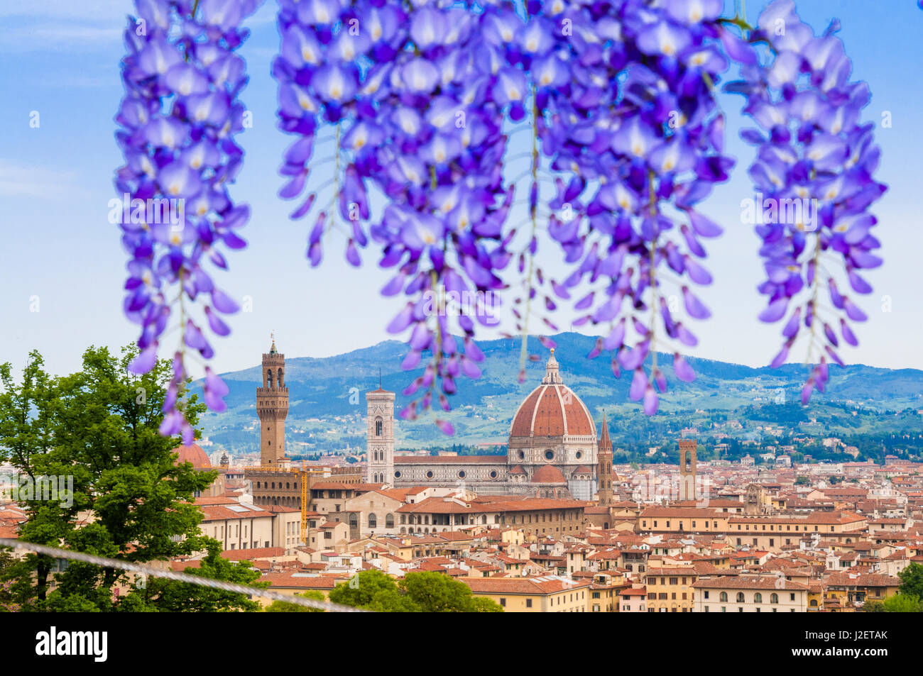 View of city center of Florence, Firenze, UNESCO World Heritage site ...