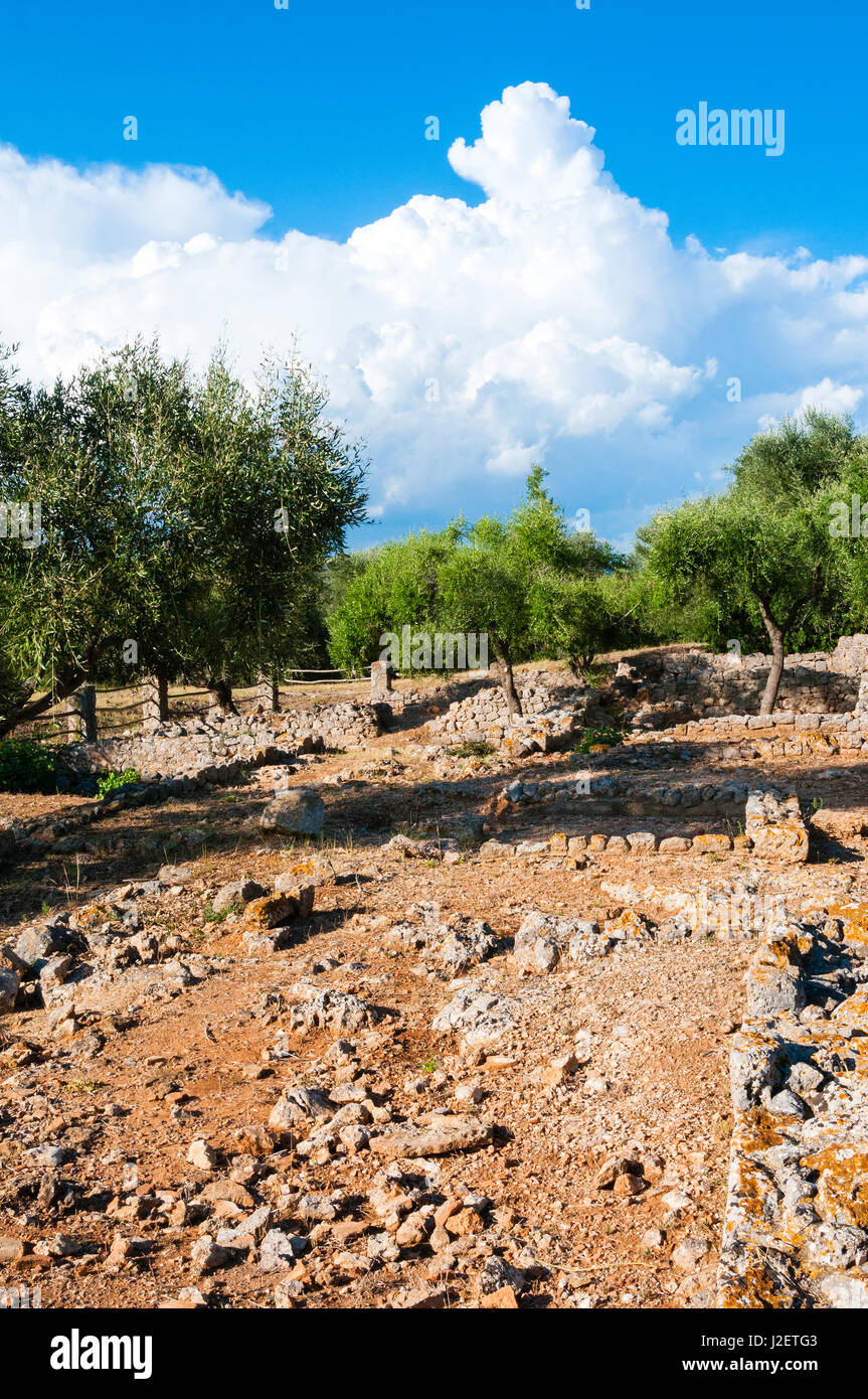 Cosa roman hi-res stock photography and images - Alamy