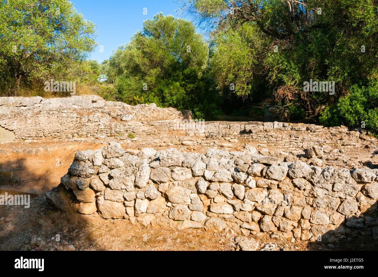 Ruins roman comitium hi-res stock photography and images - Alamy