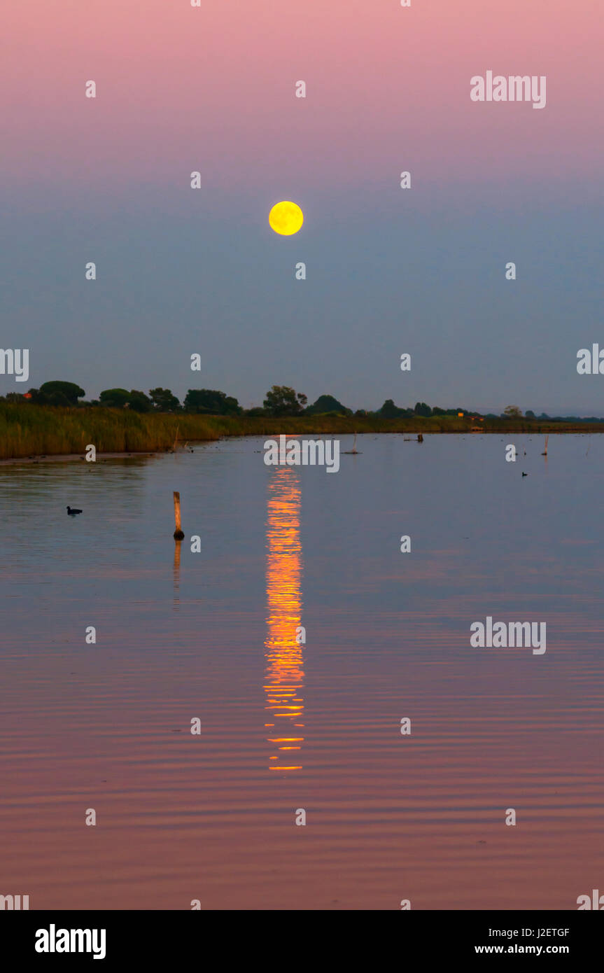 The WWF Oasis of Lake Burano, Capalbio, Tuscany, Grosseto Province ...