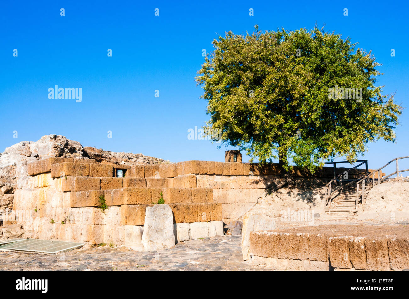 Archaeological park of vulci hi-res stock photography and images - Alamy