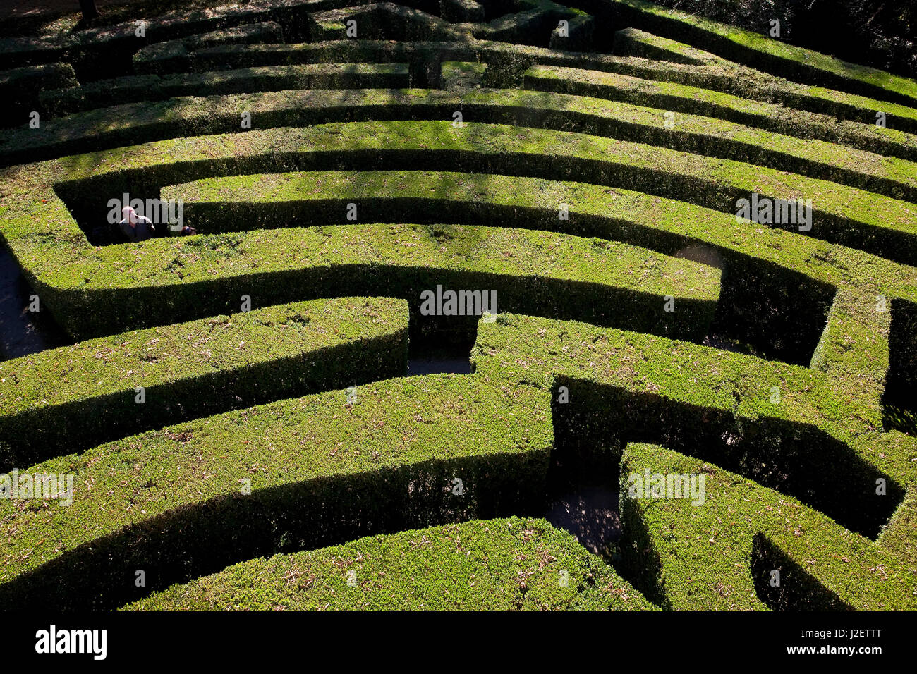 Hedge maze above hi-res stock photography and images - Alamy