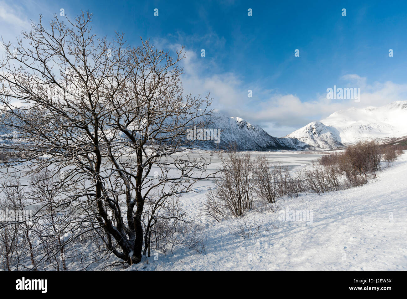 A frozen fjord near Svolvaer Lofoten Islands, Norway Stock Photo - Alamy