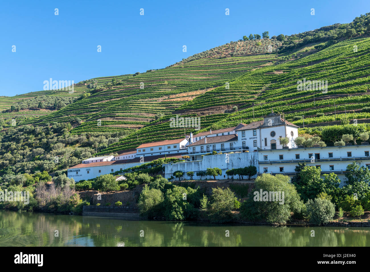 Portugal, Pinhao, Royal Oporto Hotel (Large format sizes available ...