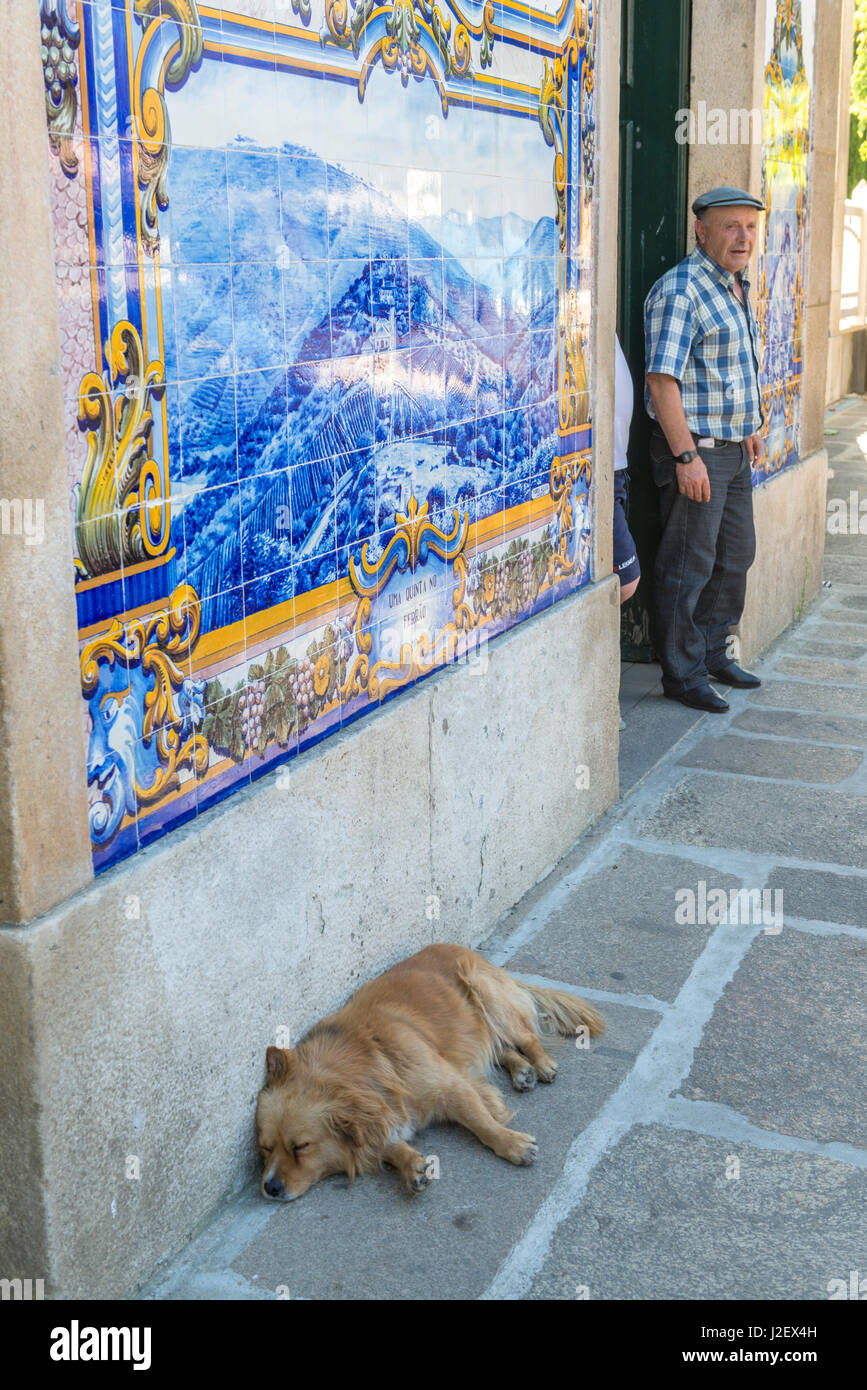 Azulejo mural large format hi-res stock photography and images - Alamy